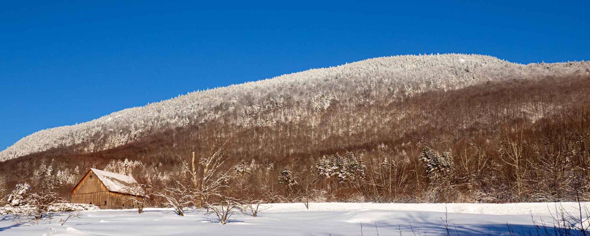 Elmore State Park - Town of Elmore, Vermont
