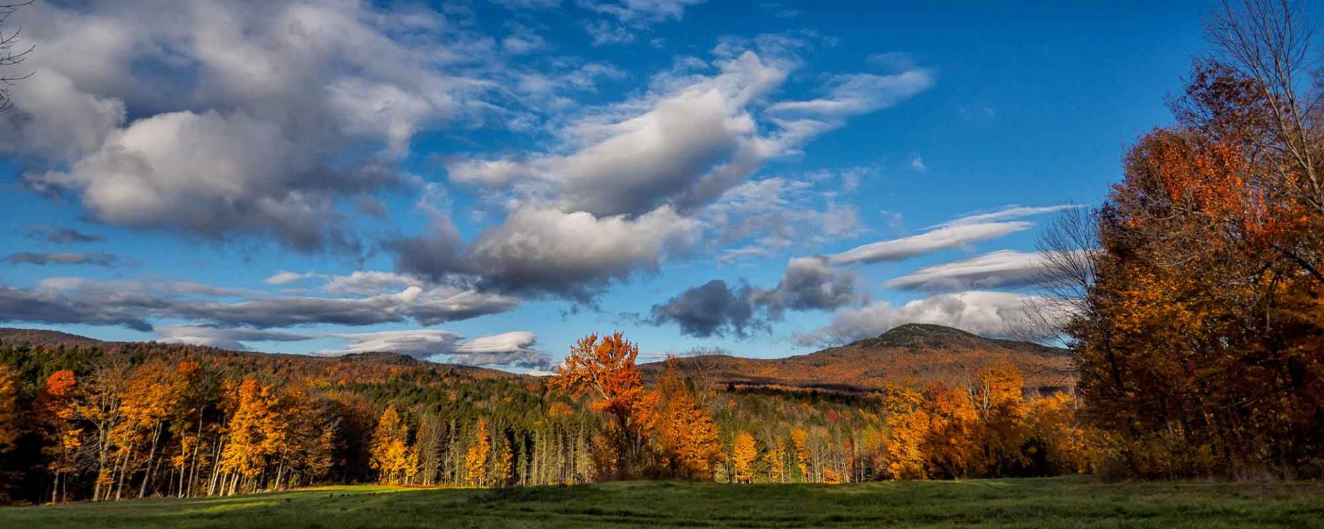 Home - Town of Elmore, Vermont