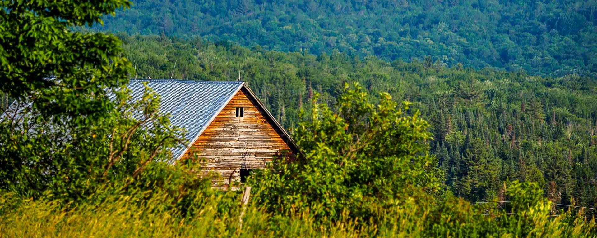 Home - Town of Elmore, Vermont
